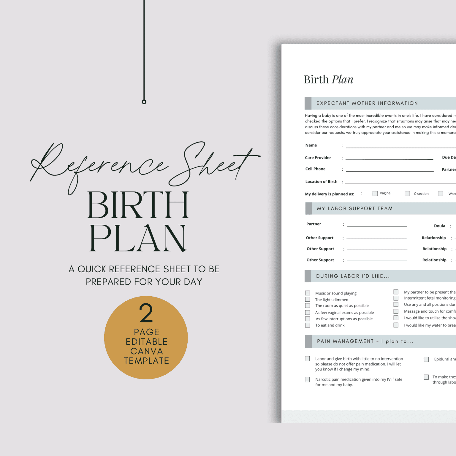Birth Plan Template | Bloom Birth Studio